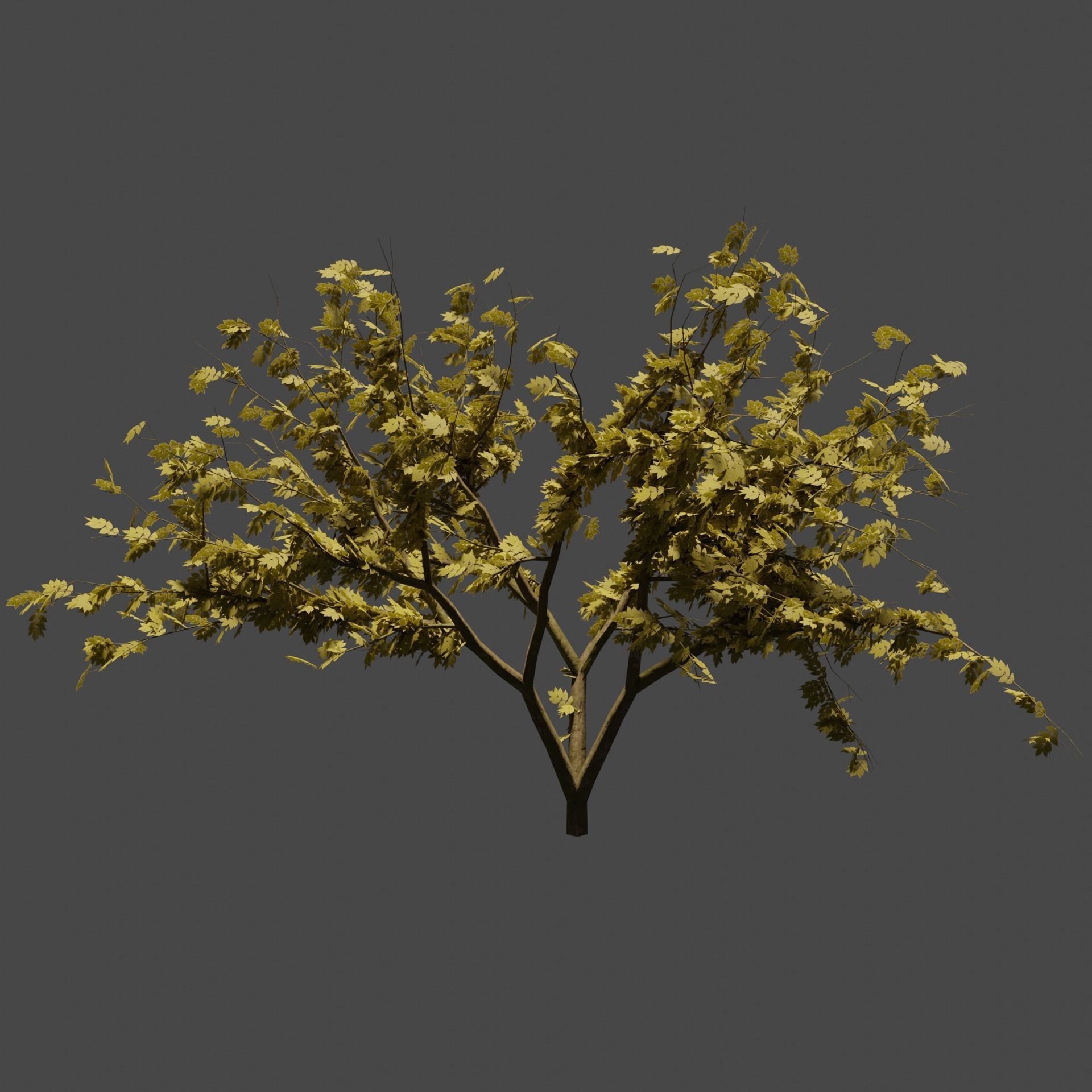 Low Poly Tree asset 3D model | CGTrader