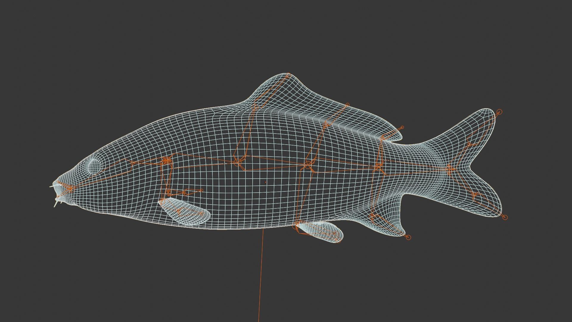 3D model Koi fish VR / AR / low-poly | CGTrader