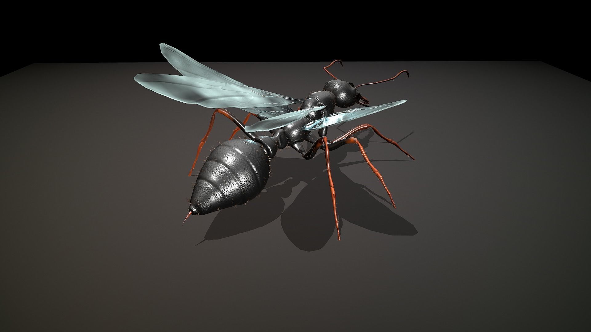 3D model Low poly Model of the character Ant Bulldog Wings VR / AR ...