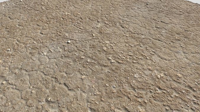 Seamless Dirt Path Texture
