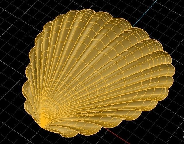 shell free 3D model | CGTrader