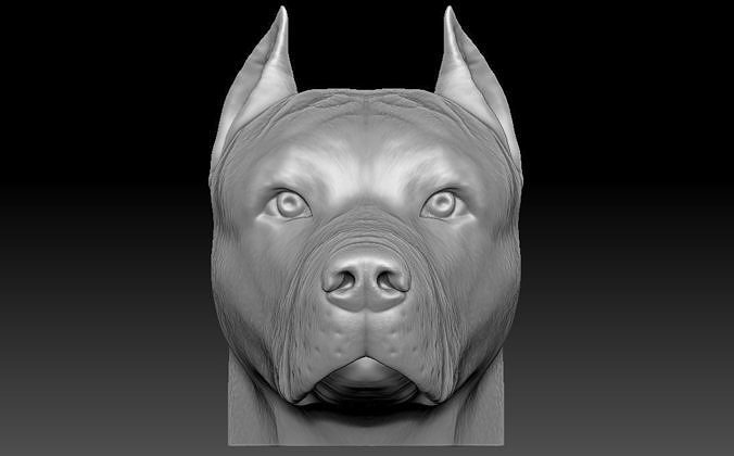 Pitbull head for 3D printing 3D model 3D printable | CGTrader