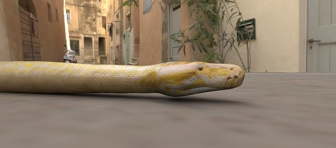 3D model Python VR / AR / low-poly rigged | CGTrader