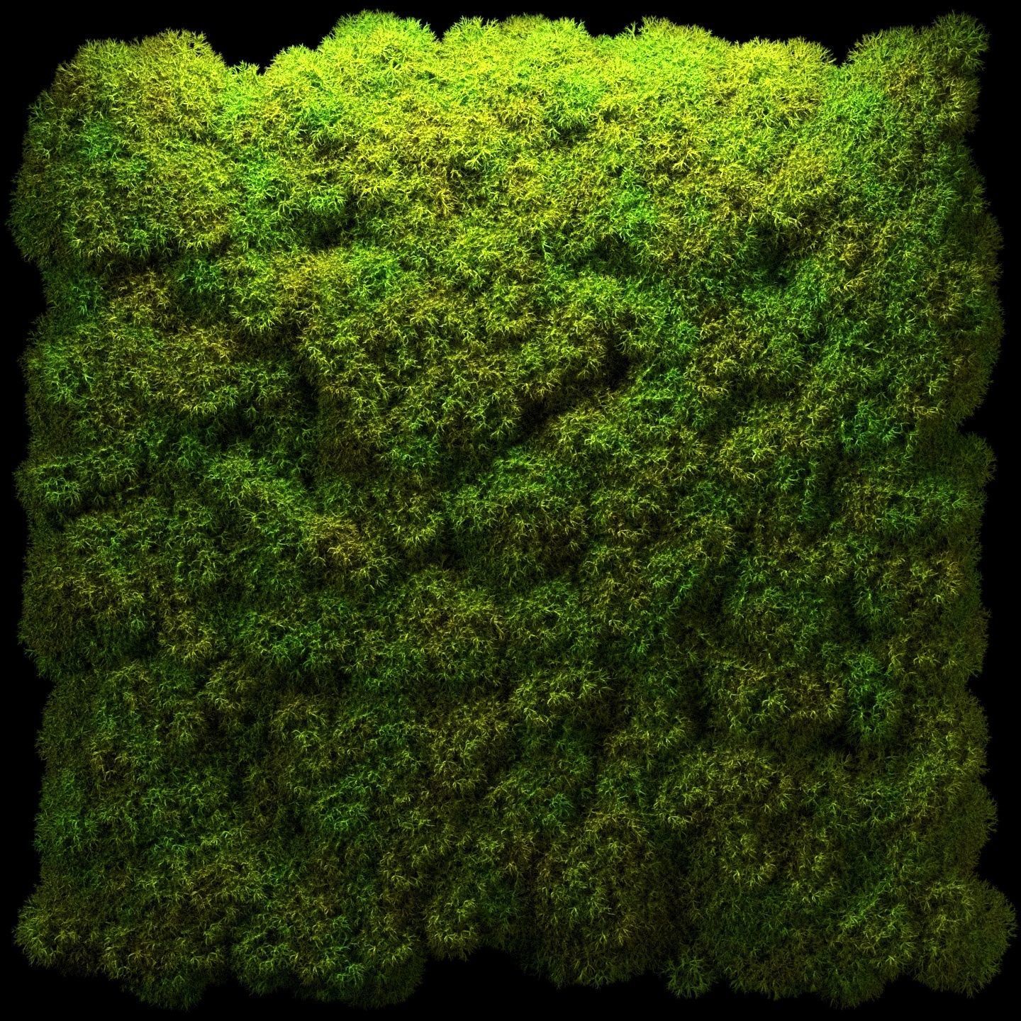 Stabilized moss wall panels 3D model | CGTrader