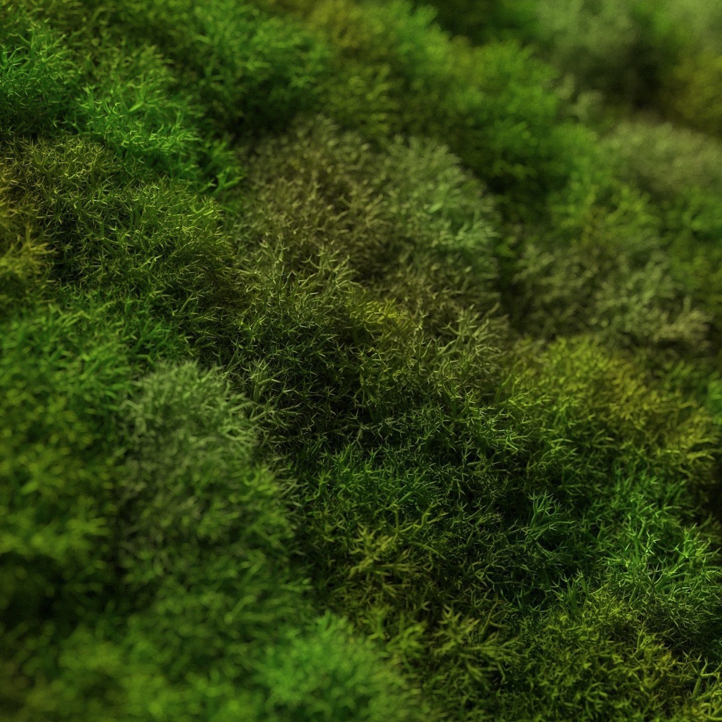Stabilized moss wall panels 3D model | CGTrader