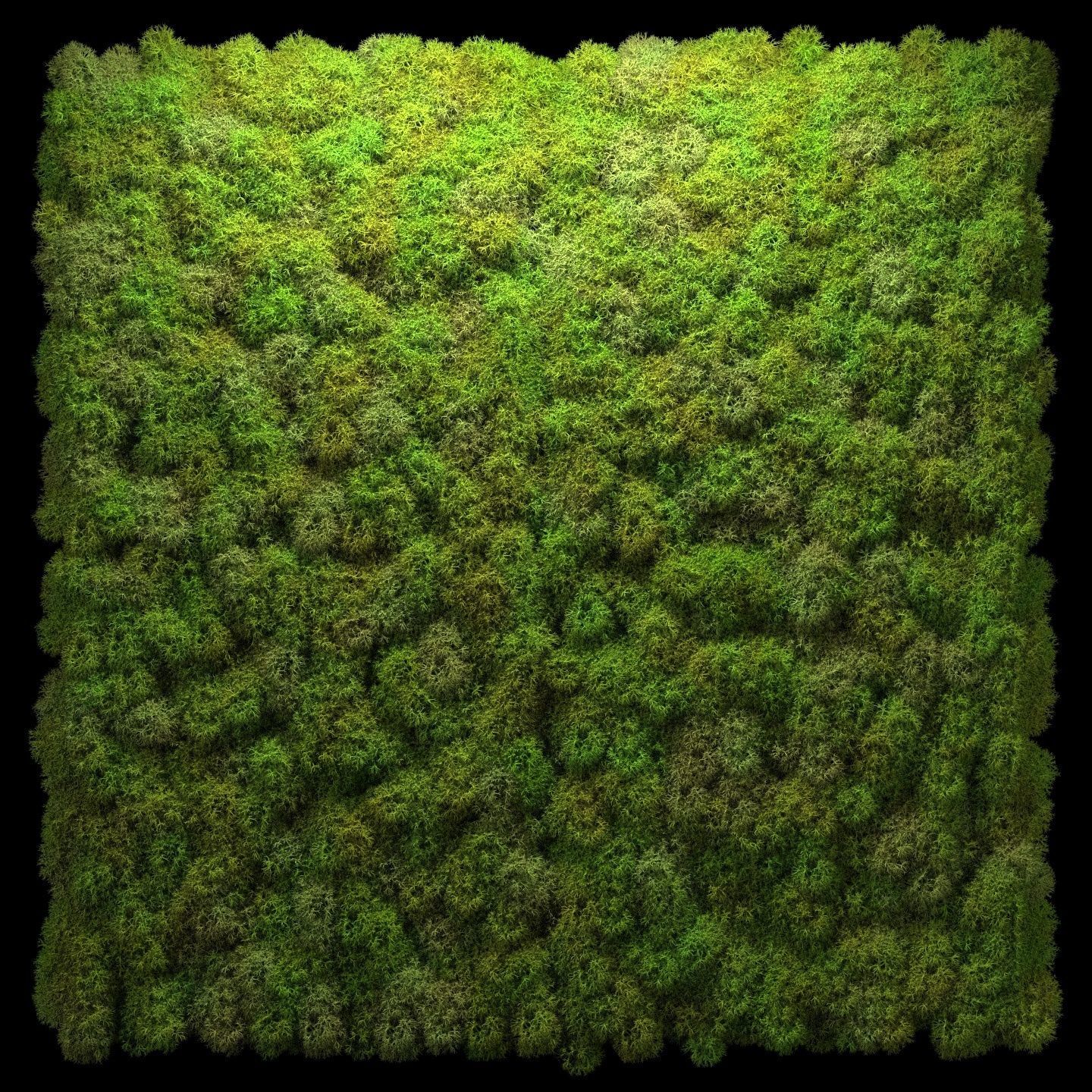 Stabilized moss wall panels 3D model | CGTrader