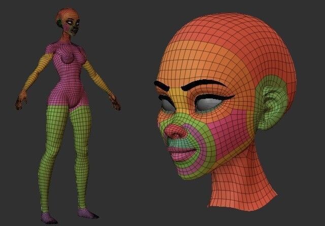 Stylized Female Basemesh v2 ZTL blend fbx 3D model | CGTrader