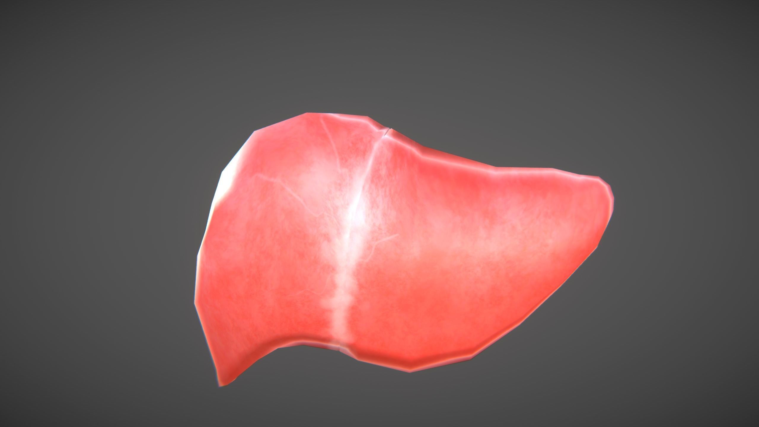 Human liver 3D model game-ready | CGTrader