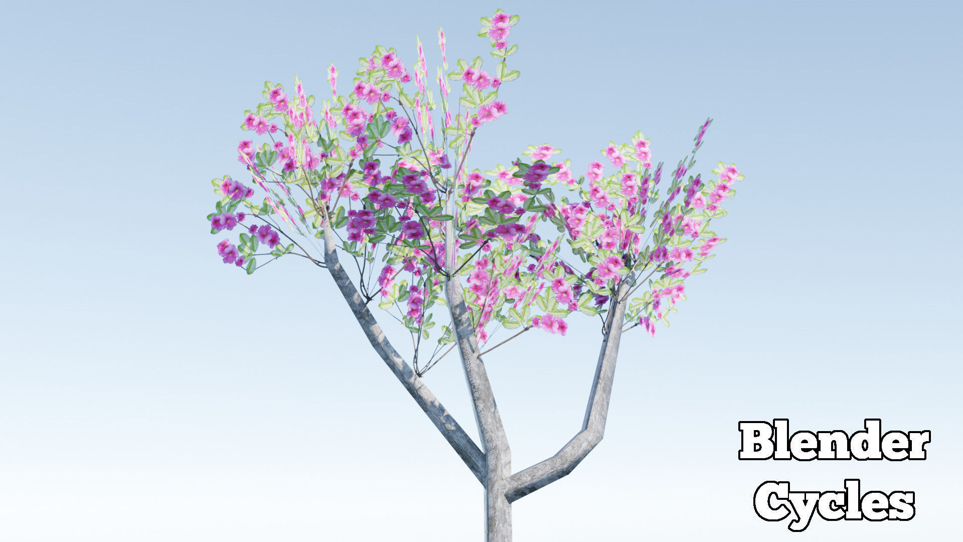3D model Pink Trumpet Tree PBR lowpoly VR / AR / low-poly | CGTrader