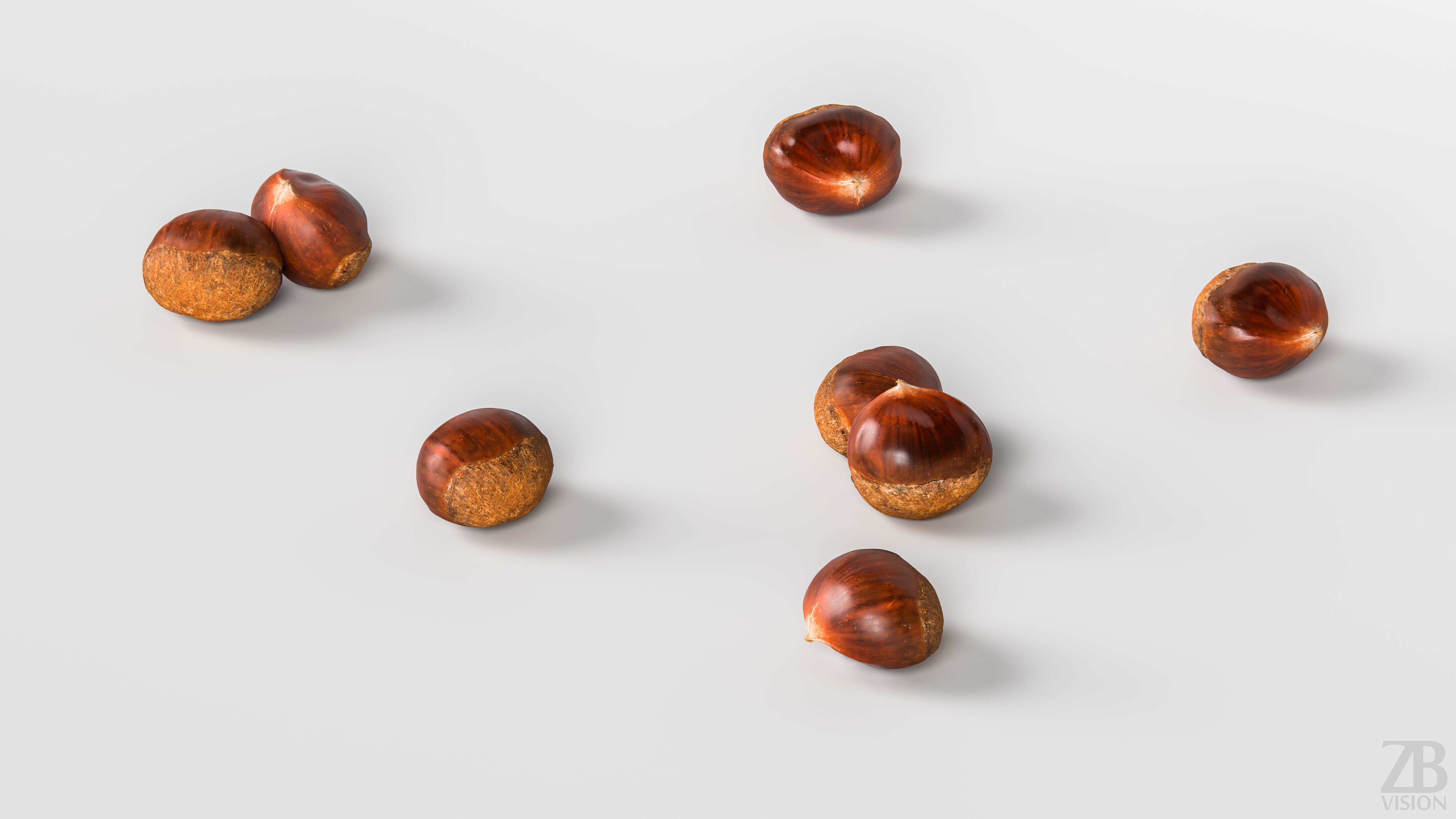 Chestnut 001 3D model | CGTrader
