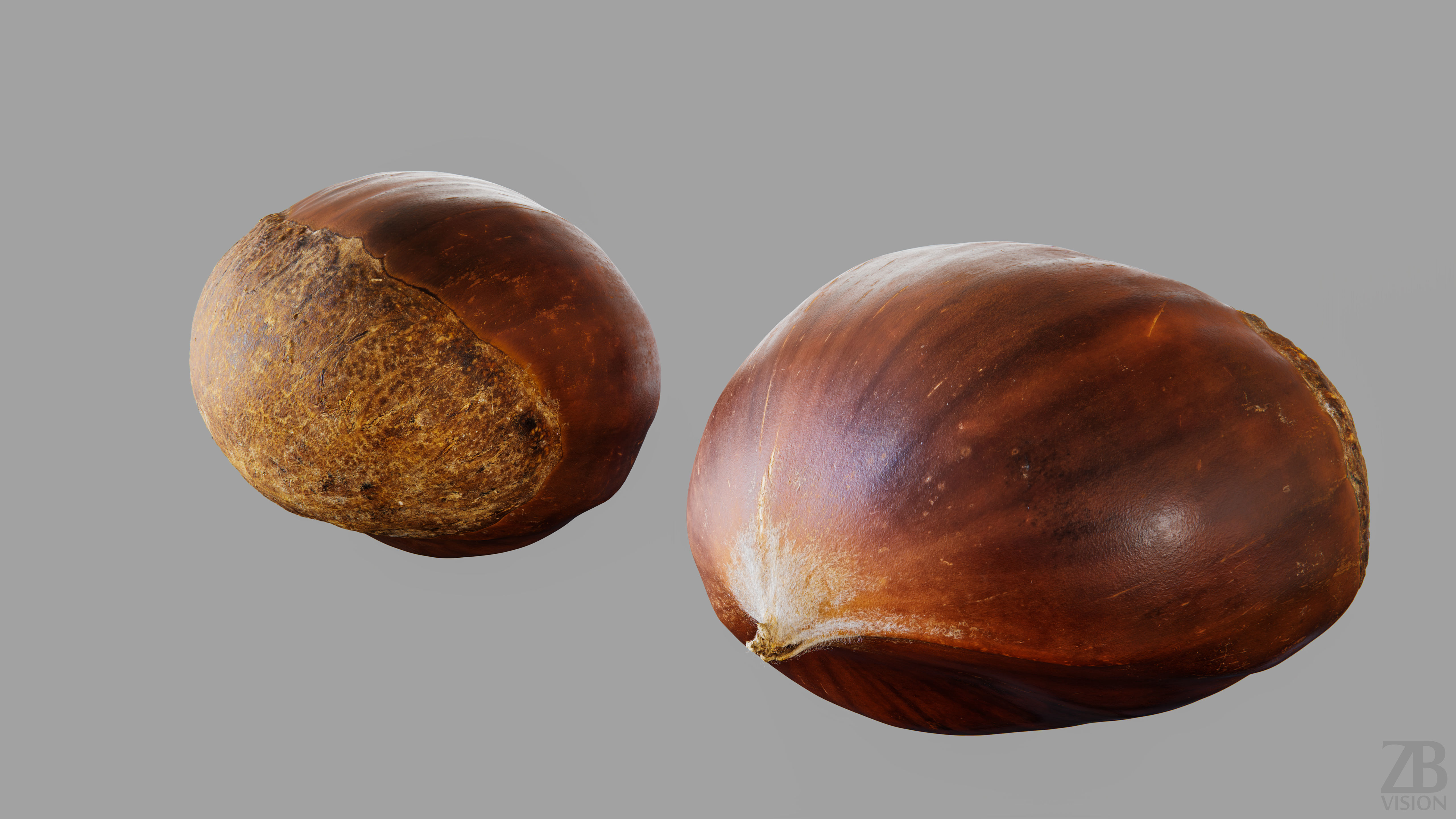 Chestnut 001 3D model | CGTrader