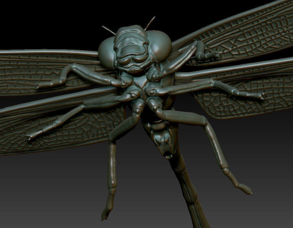 dragonfly 3D model 3D printable | CGTrader