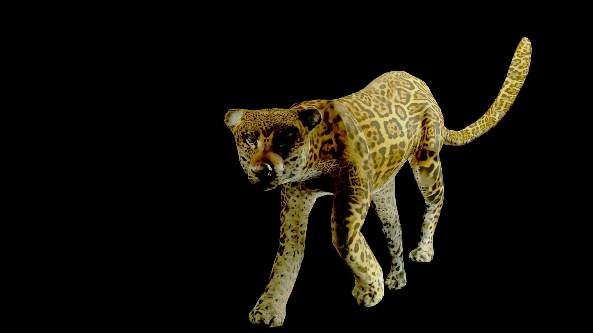 3D model leopard VR / AR / low-poly | CGTrader