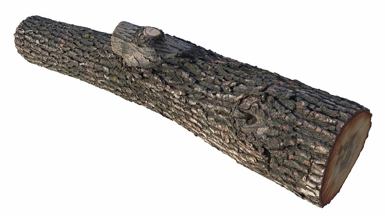 Wood Log 3D model | CGTrader