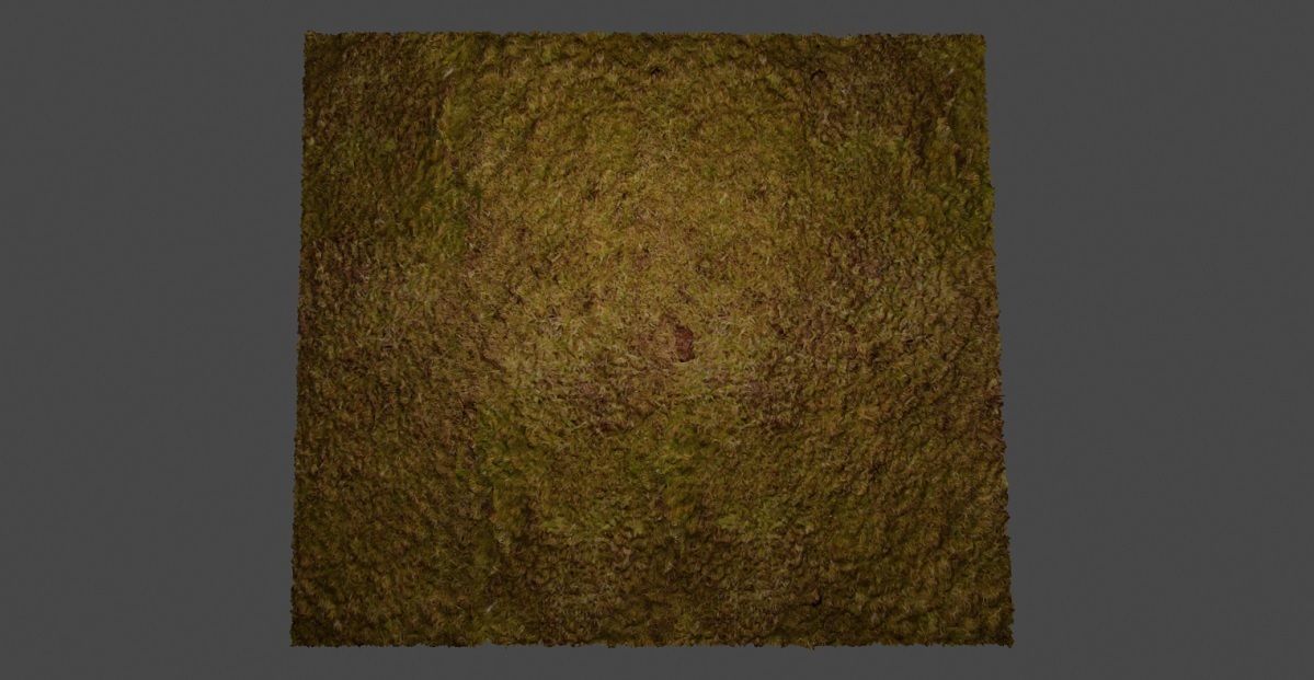 Grass Patch 3D Model 3D model | CGTrader