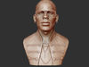R Kelly portrait sculpture 3D model 3D printable | CGTrader