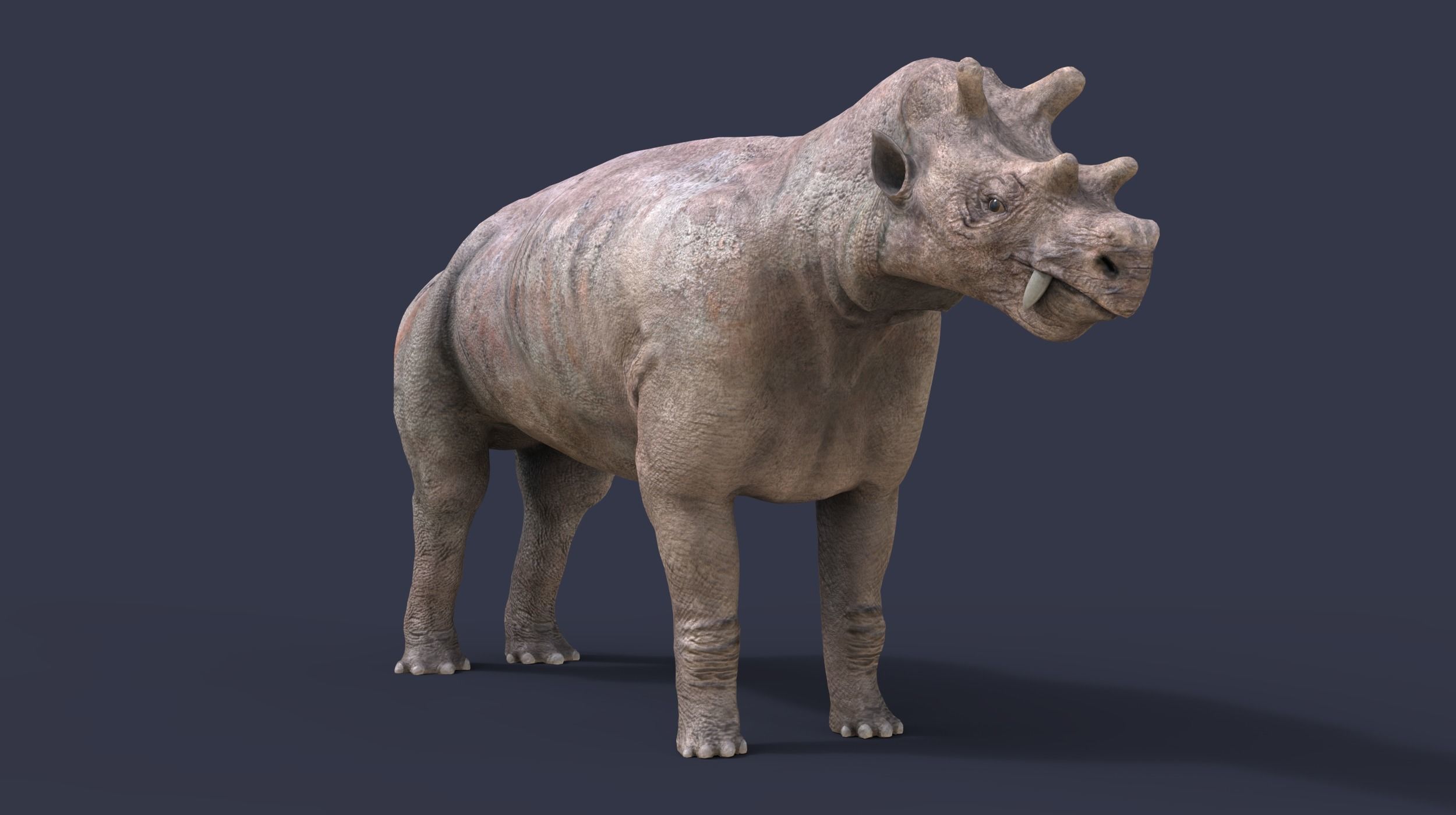 Uintatherium triceratops 3D model | CGTrader