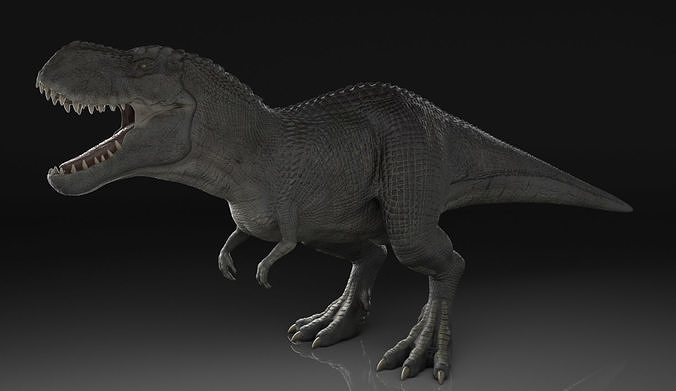 3D model Dinosaur D-rex VR / AR / low-poly | CGTrader