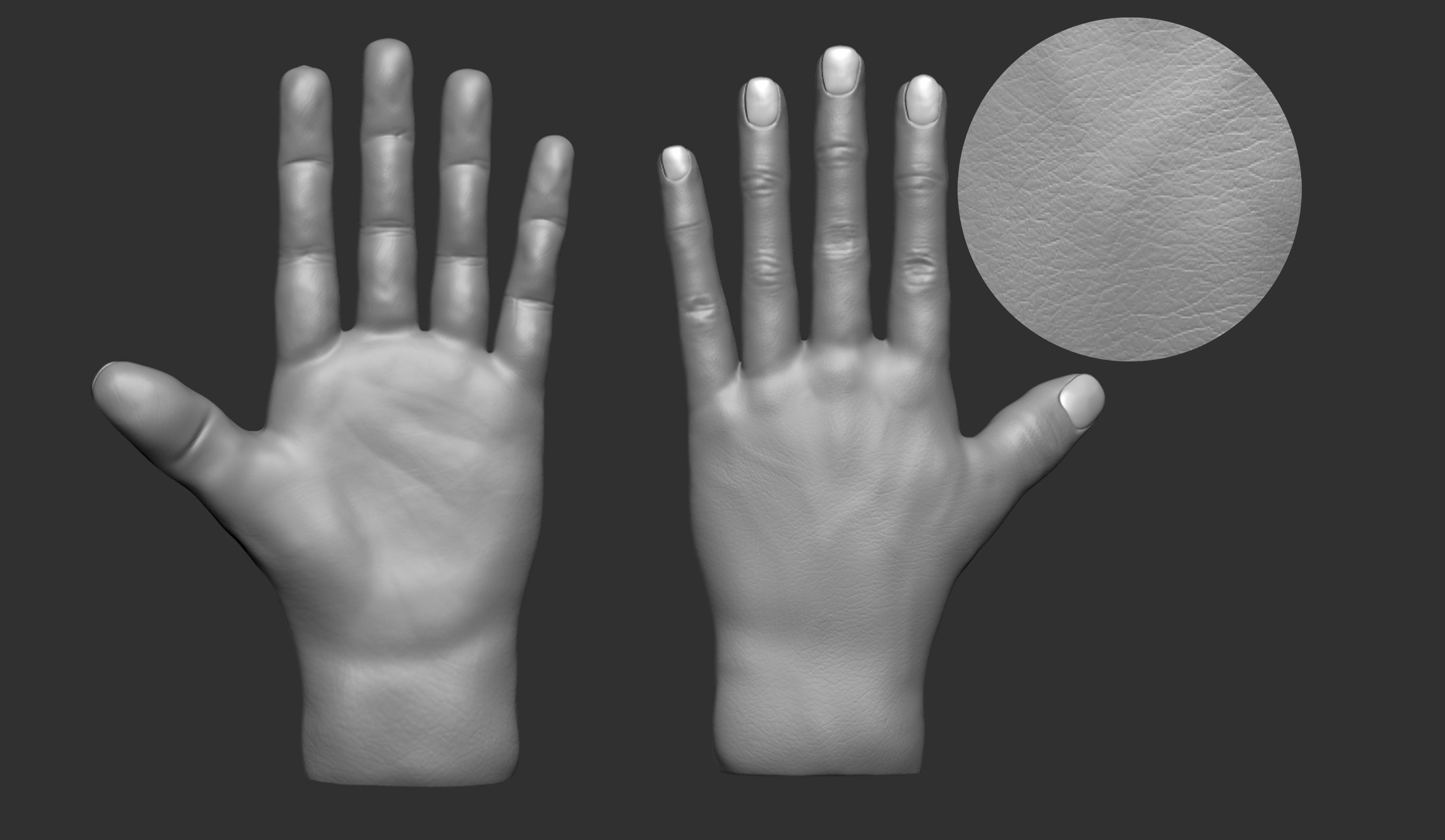 realistic hand model 3D model | CGTrader