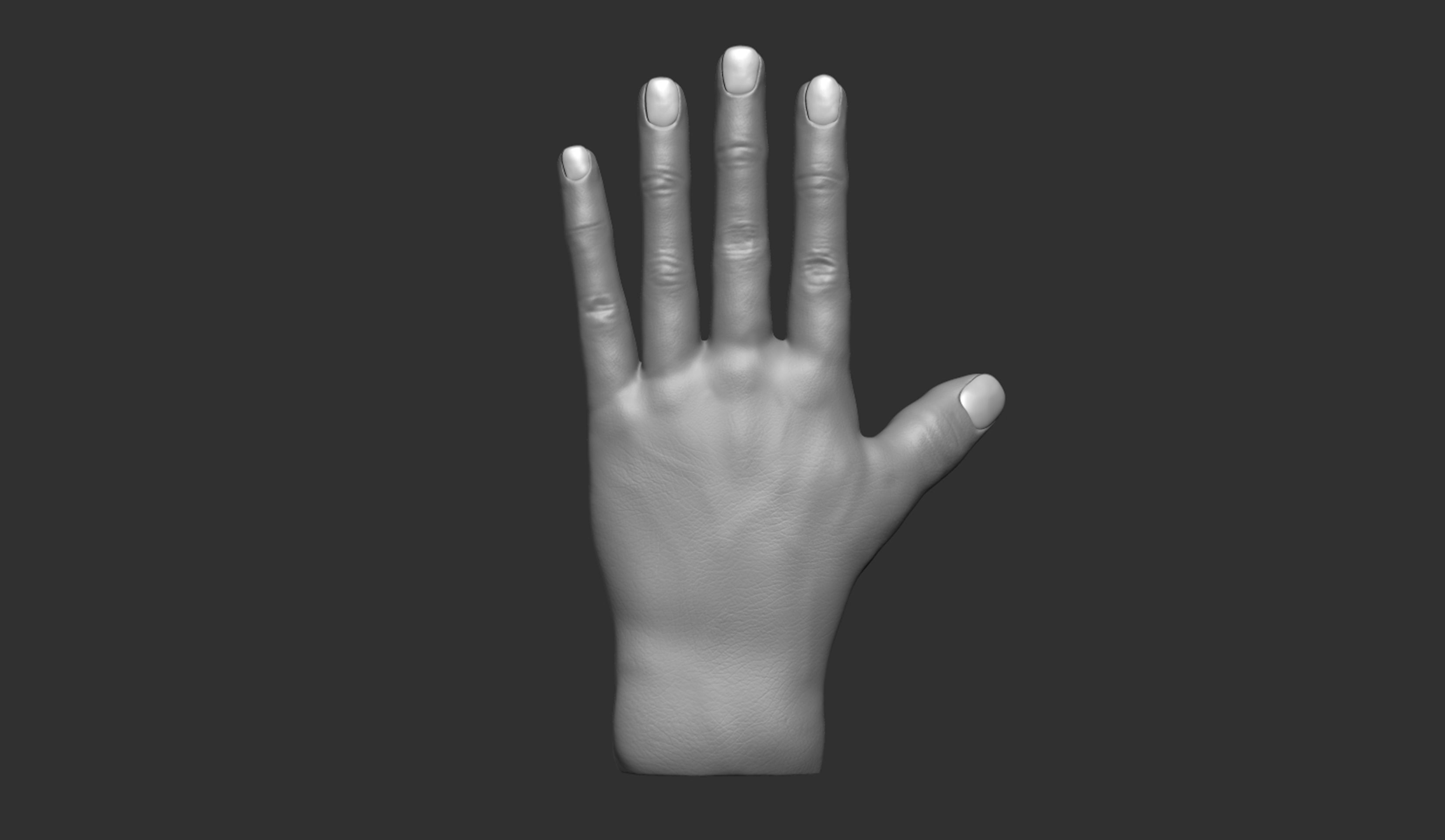 realistic hand model 3D model | CGTrader