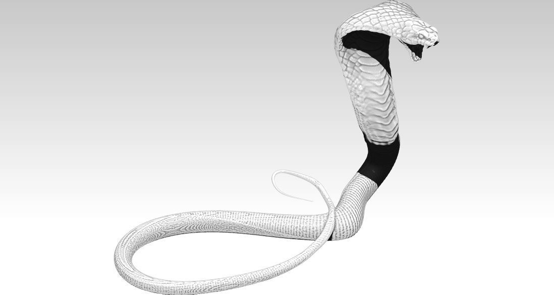 Highpoly Realistic Cobra Snake 3D model 3D printable | CGTrader