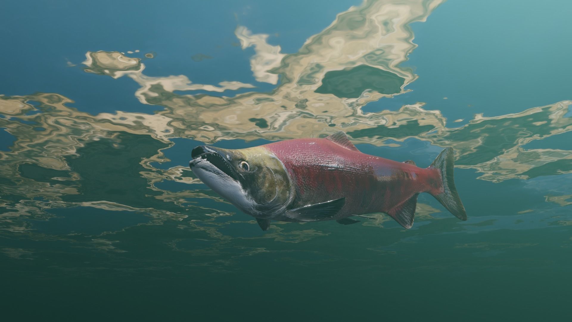 3D model Sockeye Salmon VR / AR / low-poly | CGTrader