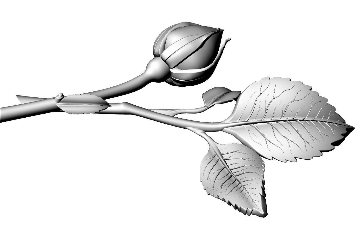 Rose Bud 3D model | CGTrader