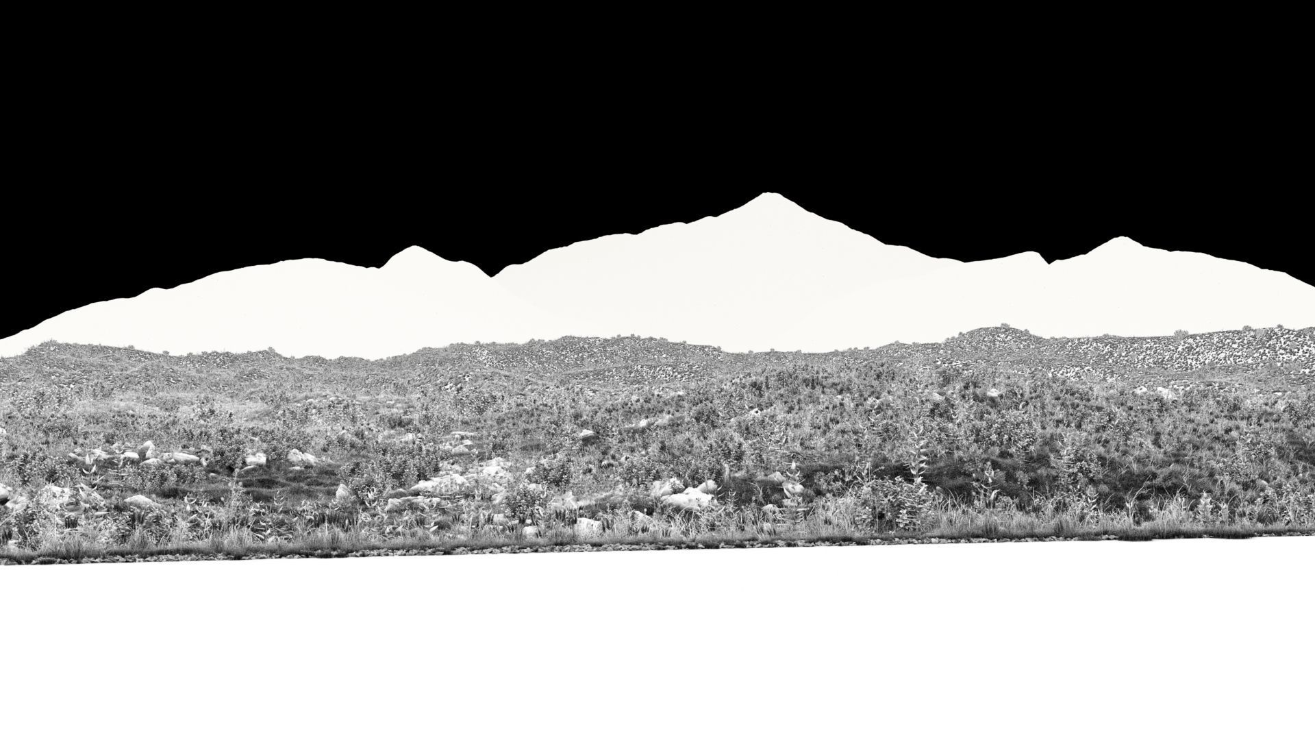 Field road production 3D model | CGTrader