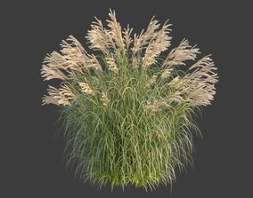 Animated Xfrogplants 3D Models | CGTrader