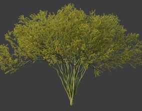 Xfrogplants 3D Models | CGTrader