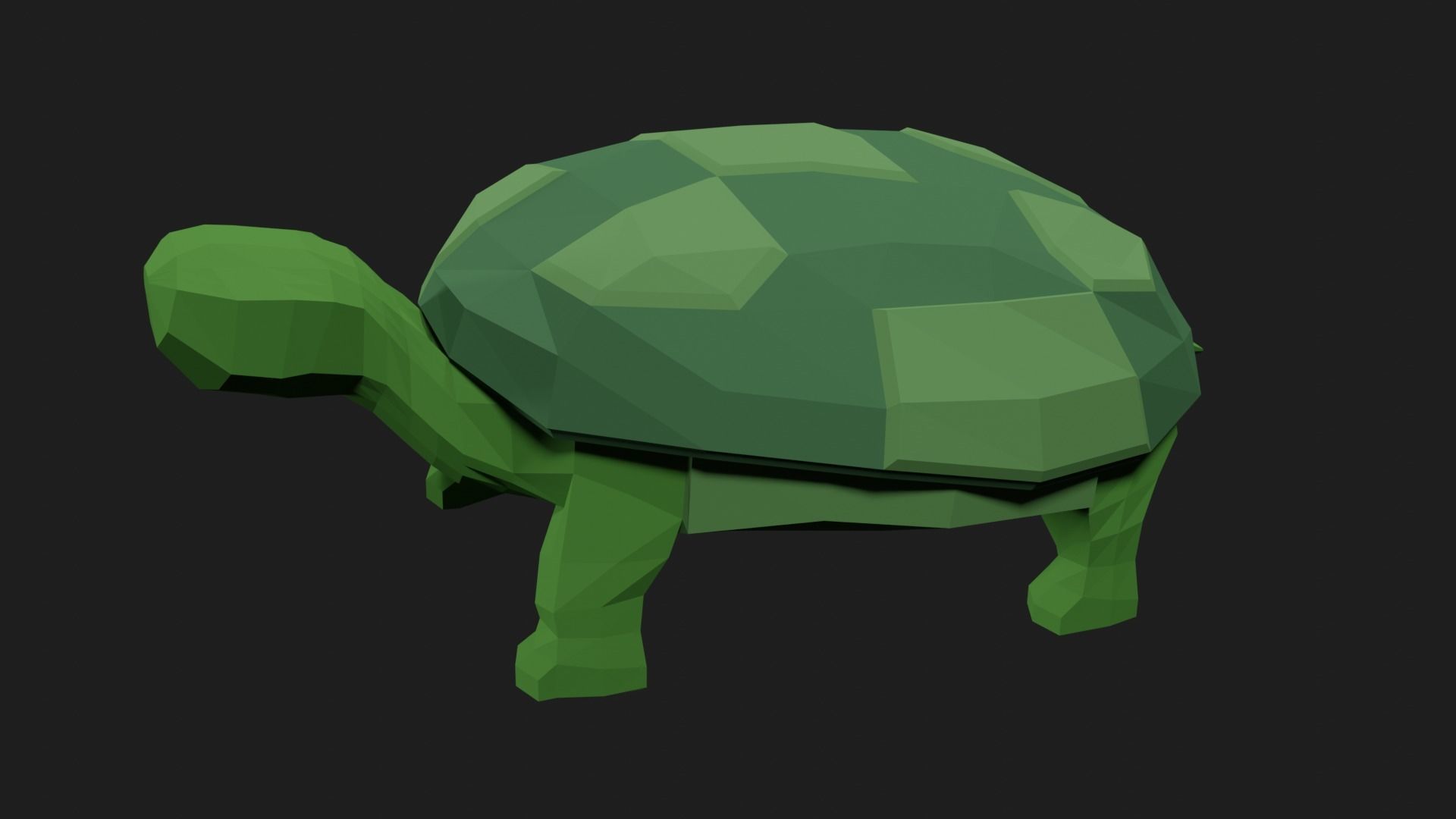 3D model Lowpoly Turtle VR / AR / low-poly | CGTrader