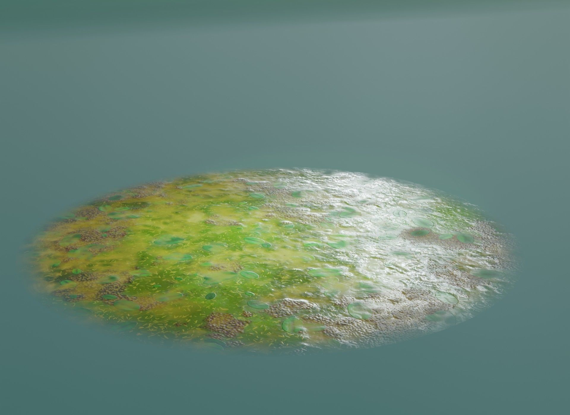 3D model Cartoon Swamp 3D Model VR / AR / low-poly | CGTrader