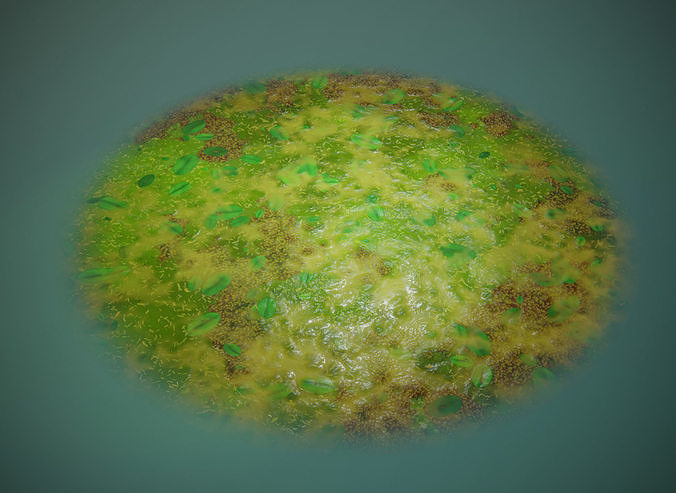 3D model Cartoon Swamp 3D Model VR / AR / low-poly | CGTrader