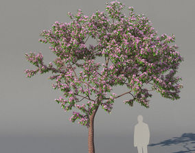 Animated Xfrogplants 3D Models | CGTrader