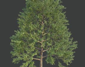 Animated Xfrogplants 3D Models | CGTrader