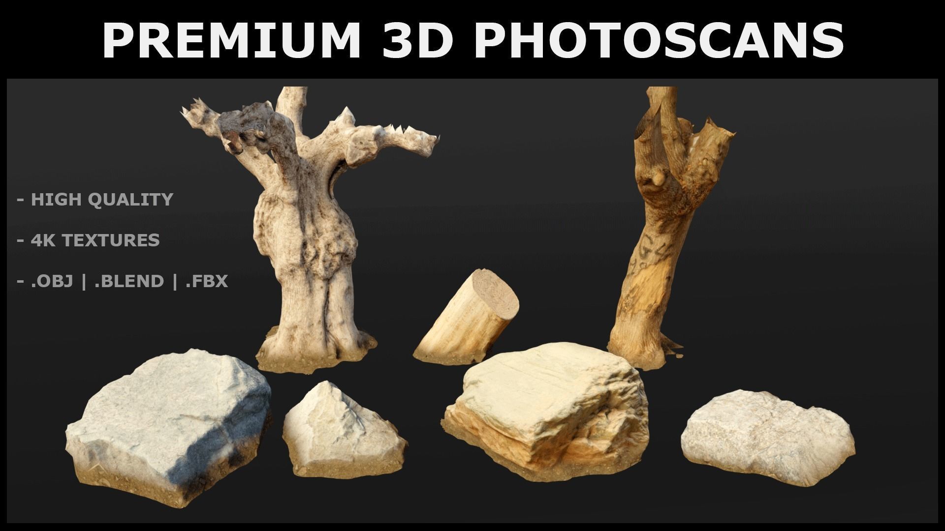 High quality Photogrammetry scans 3D model | CGTrader