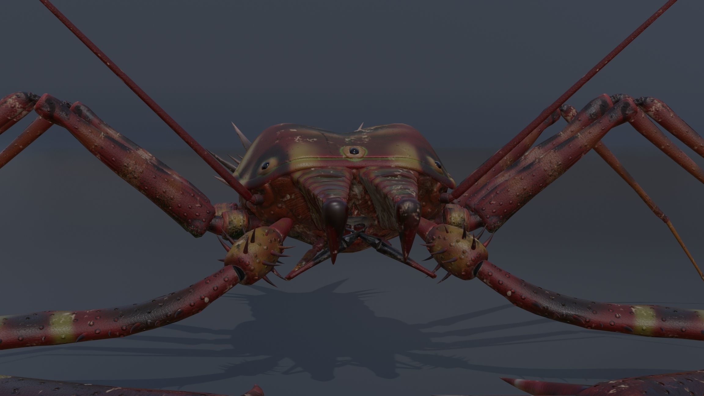 3D model Giant Tick VR / AR / low-poly | CGTrader
