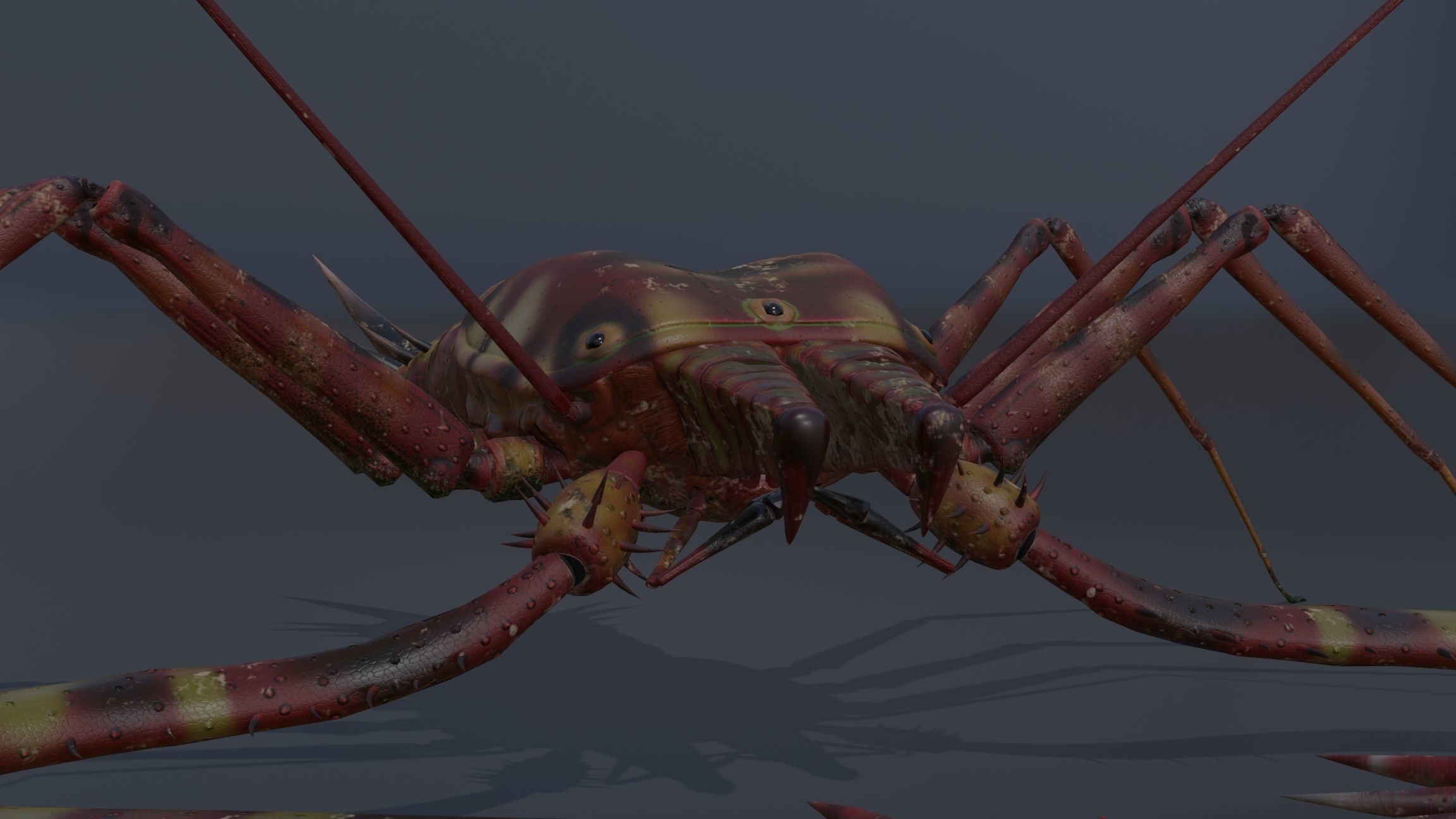 3D model Giant Tick VR / AR / low-poly | CGTrader