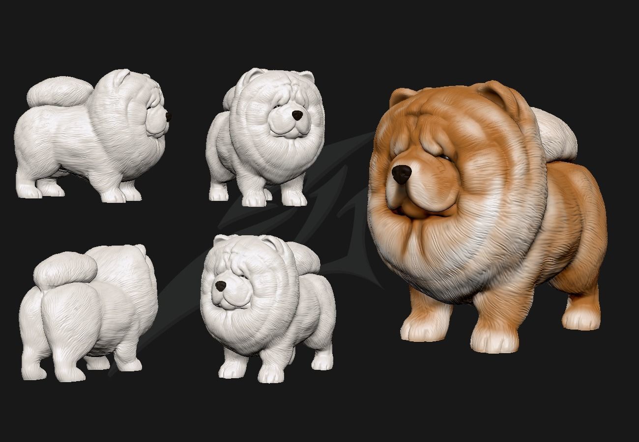 Cute Chow Chow STL and VRML 3D model 3D printable | CGTrader