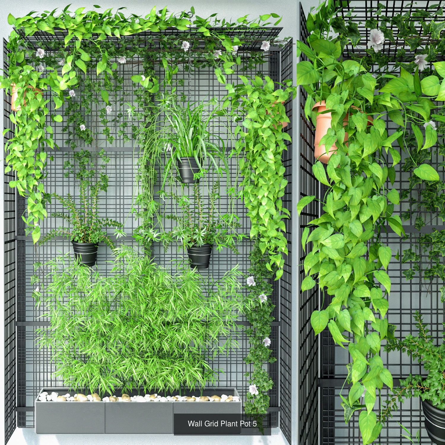 Wall Grid Plant Pot 3D Model Collection | CGTrader