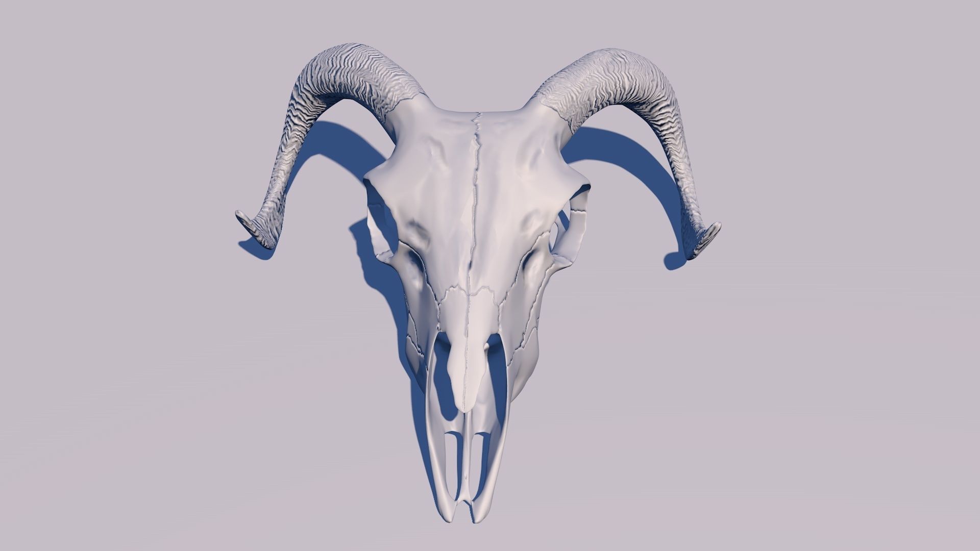 ram skull 3D model | CGTrader