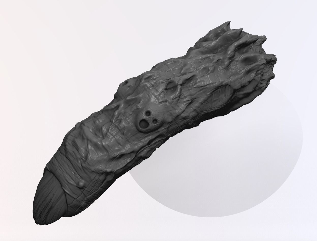 Sukuna Finger Jujutsu Kaisen 3D model 3D printable | CGTrader