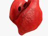 3D model Animated Realistic Human Heart - Medically Accurate VR / AR ...
