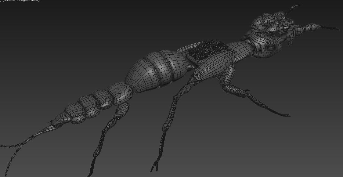 Mech Ant free VR / AR / low-poly 3D model animated | CGTrader