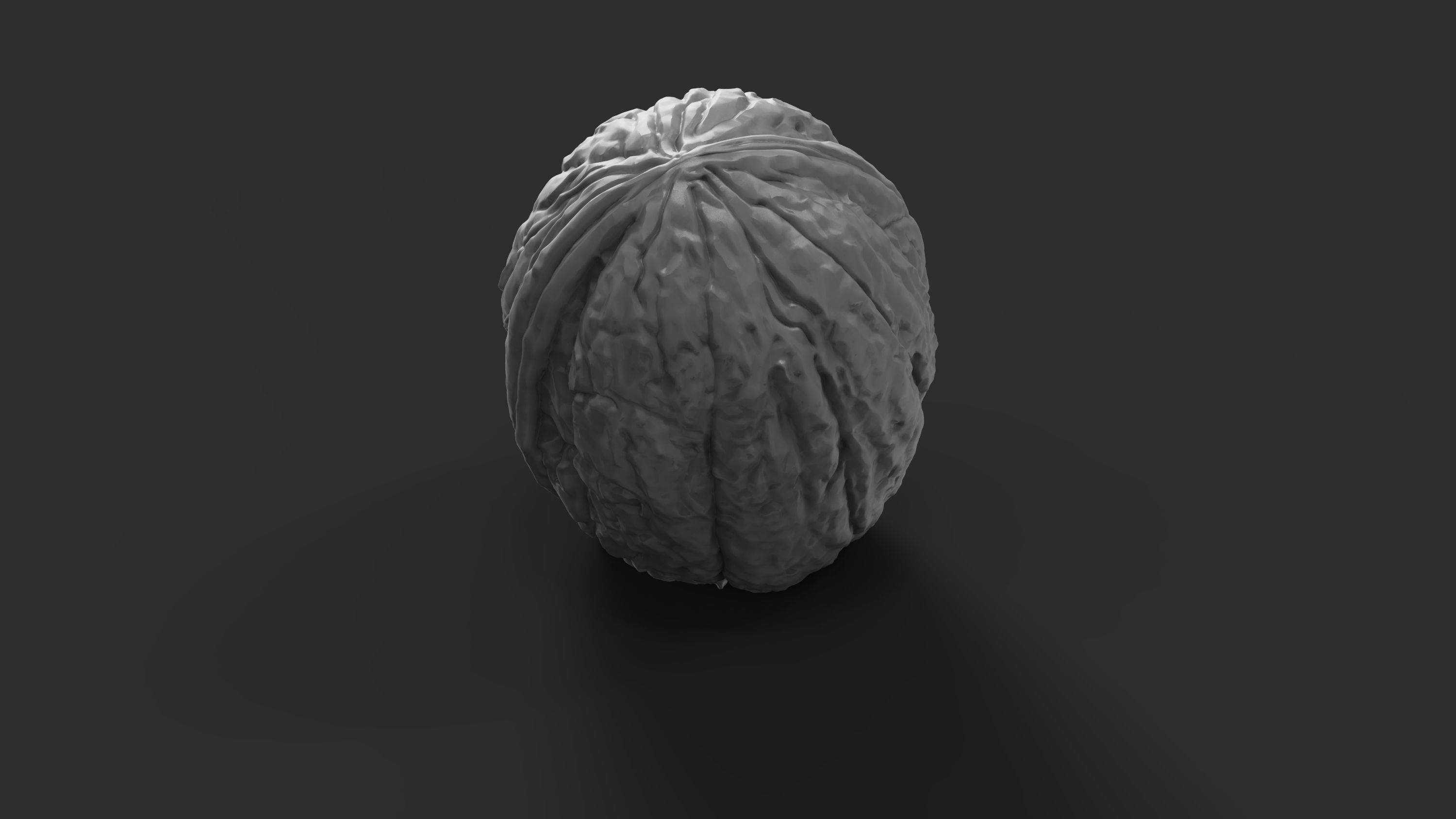 Walnut 3D model 3D printable | CGTrader