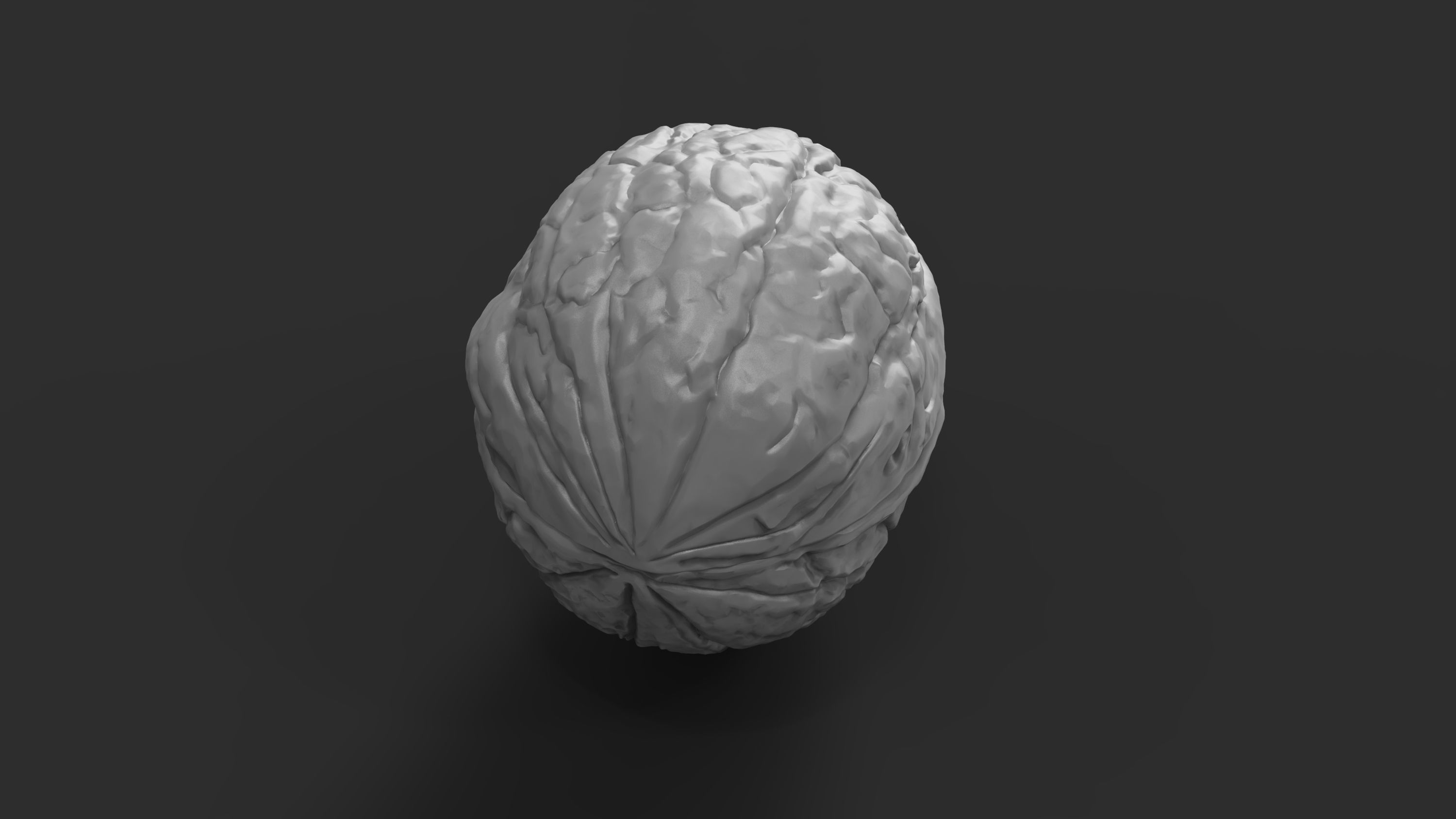 Walnut 3D model 3D printable | CGTrader