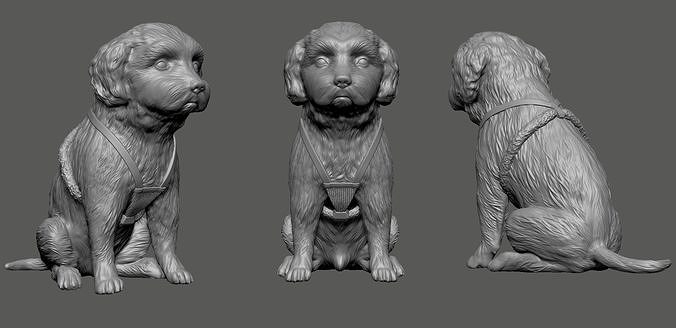 Cute Maltipoo dog for 3d printing 3D model 3D printable | CGTrader