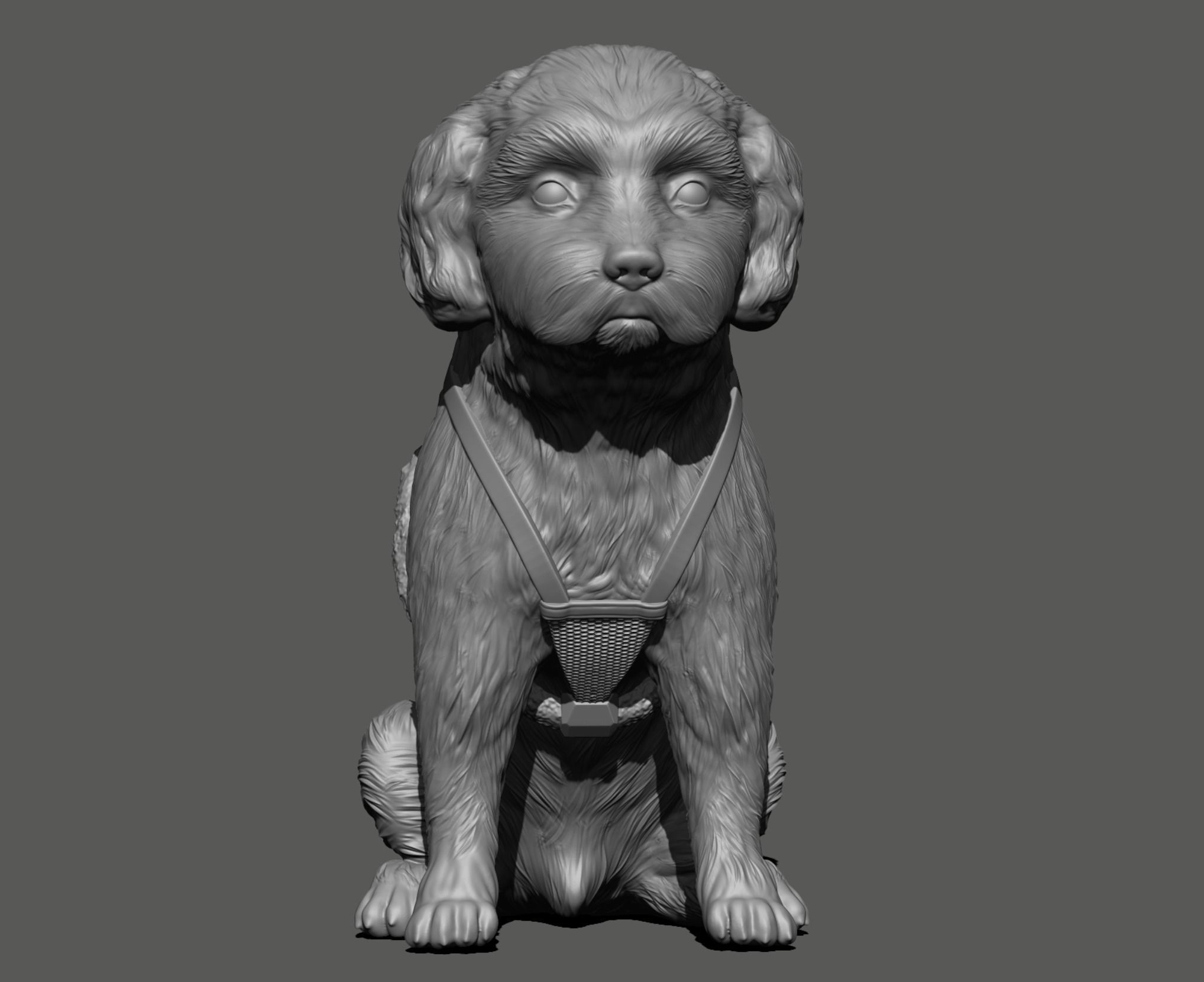 Cute Maltipoo dog for 3d printing 3D model 3D printable | CGTrader