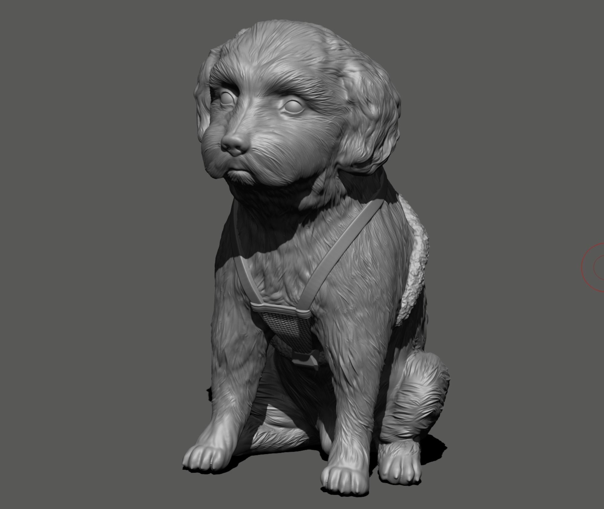 Cute Maltipoo dog for 3d printing 3D model 3D printable | CGTrader