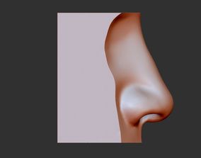 Nose 3D Printing Models | CGTrader